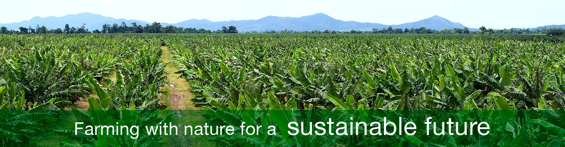 Ecoganics | Farming and Environmental Certification