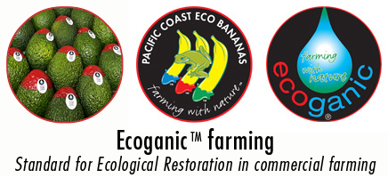 Contact | Ecoganic farming - Red Tip Banana, Avocado, Papaya.
